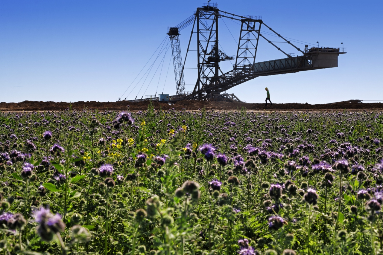 Wandel in Profen mitgestalten – eine Region in Bewegung